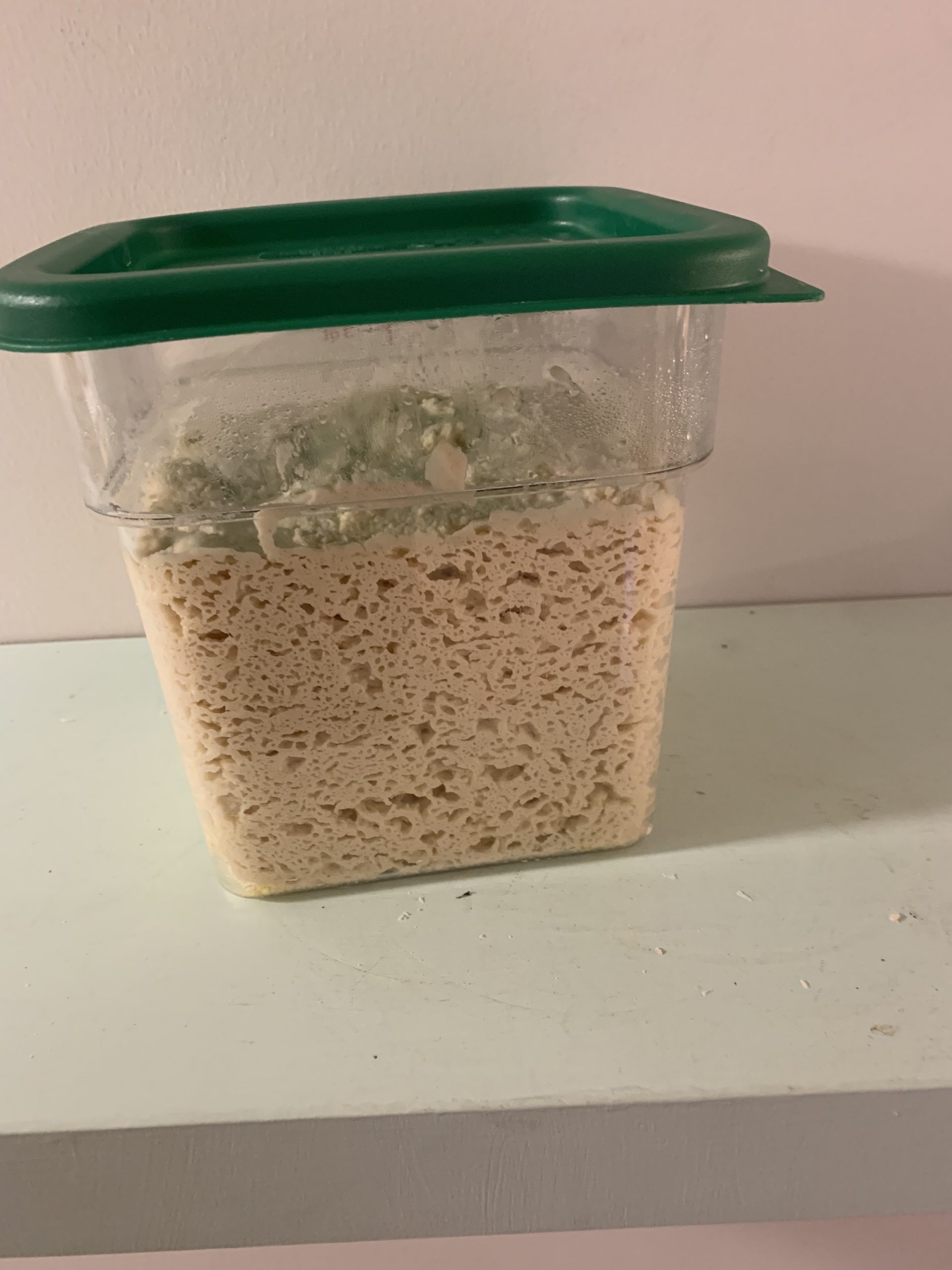 Gluten-free Sourdough Starter – Adam Feuer